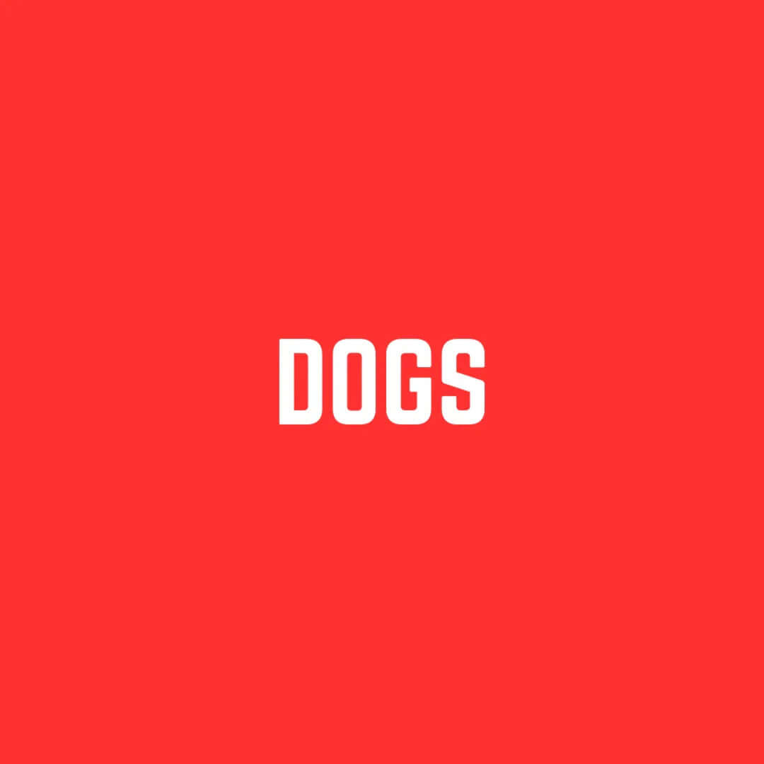 Dogs – Nottingham Reds